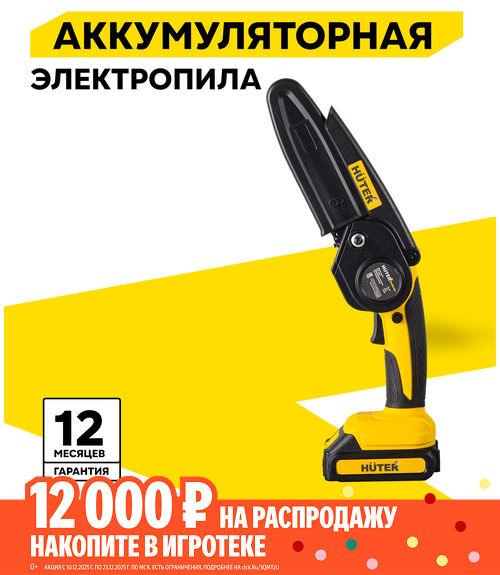 Электропила аккумуляторная ELS-2/6Li Huter (с АКБ 2А*ч и ЗУ в комплекте) — купить в интернет ...